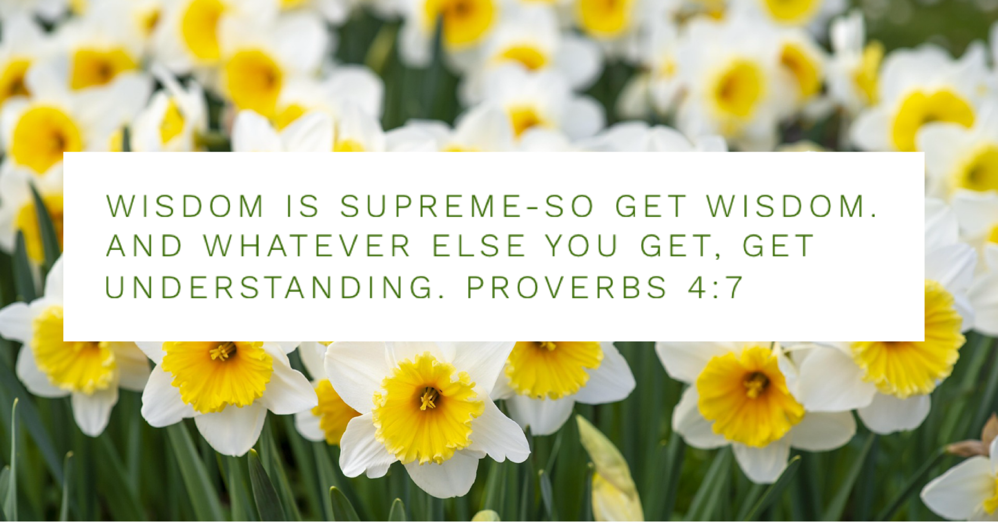 Get Wisdom – Strength Renewed by Tresa