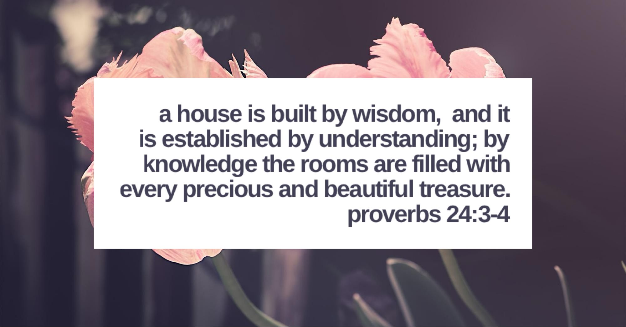 A House Built by Wisdom – Strength Renewed by Tresa